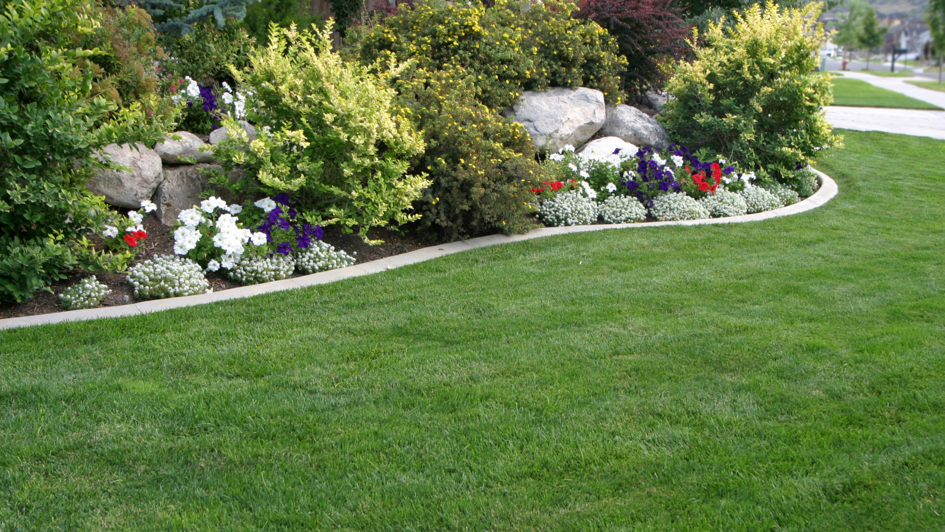 How To Compare Commercial Landscaping Bids: 6 Essential Tips